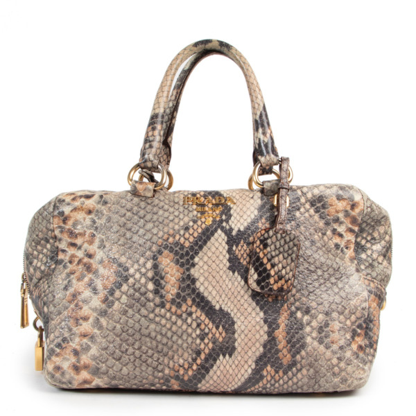 Prada Multicolor Snakeprint Top Handle Bag Labellov Buy and Sell ...