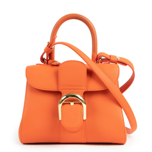 Delvaux Brillant Mini Paprika Rodéo Calf Shoulder Bag Labellov Buy and ...